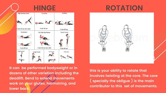 The Science of Human Movement in Physical Education | PPTX
