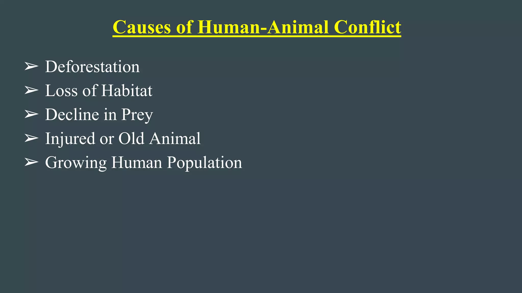 man animal conflict.pptx