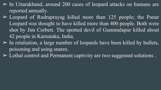 man animal conflict.pptx