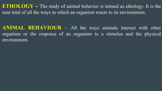 man animal conflict.pptx