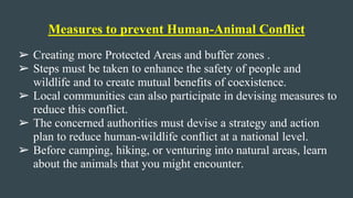 man animal conflict.pptx
