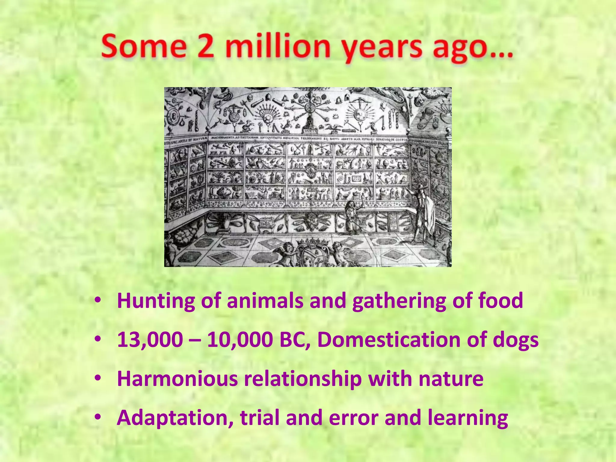 Man animal relationship | PPT