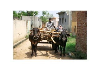 Man animal relationship | PPTX