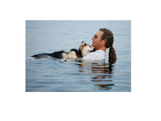 Man animal relationship | PPTX