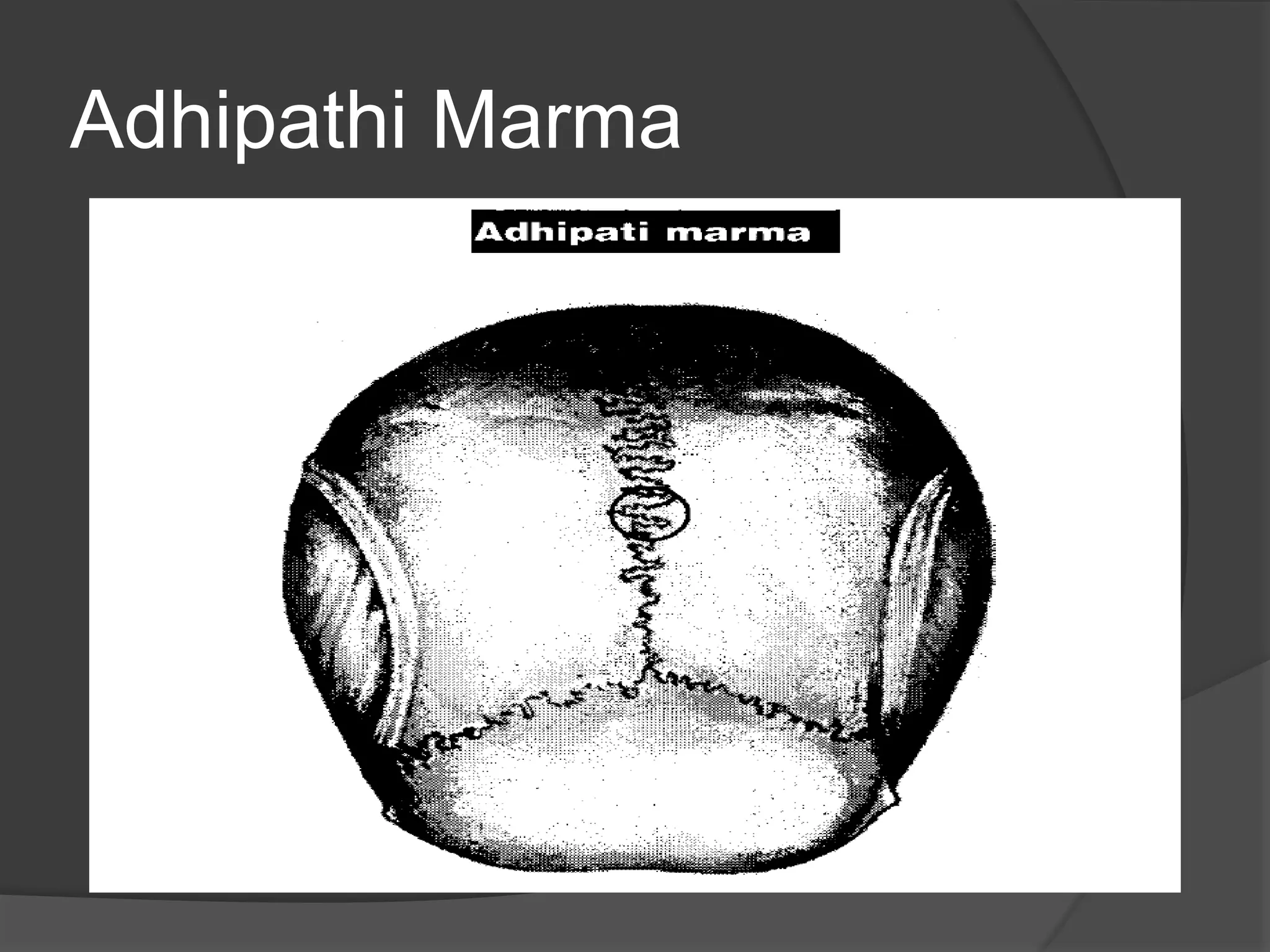 Manas the ayurvedic and modern concept of human mind | PPTX