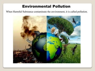 Environmental Manasa.PM[1JV21CS028].pptx