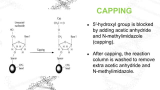 MANASA PPT 3RD SEM.pptx