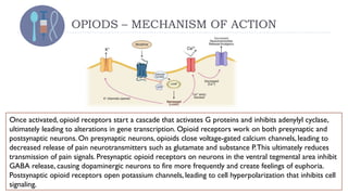 manas palliative medicine powerpoint pres | PPTX
