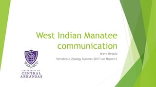 Manatee communication methods | PPT