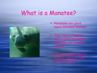 Manatees | PPT