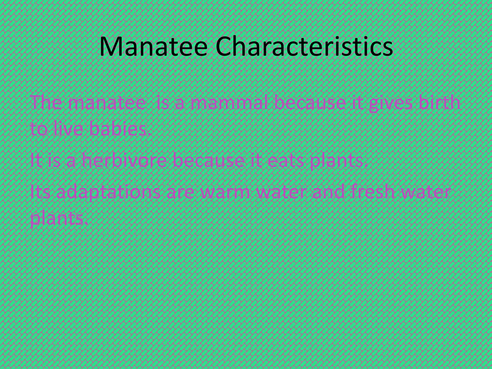 Manatees 1 | PPTX