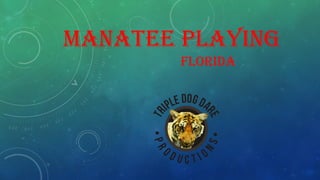 Manatee views | PPT