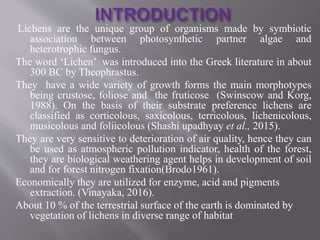 LICHENS | PPTX