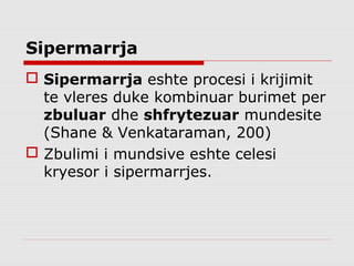 Manaxhimi ne biznesin e vogel siperrmarja | PPT