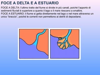 Le acque superficiali | PPT