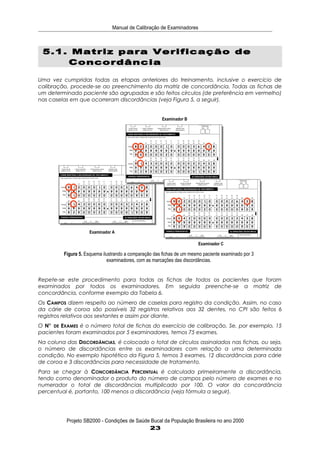 Manual de calibração sb brasil 2000 | DOC