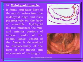 Mandibular edentulous foundation/ dental education in india | PPT