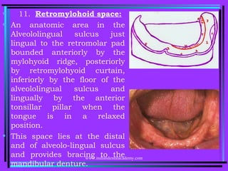 Mandibular edentulous foundation/ dental education in india | PPT