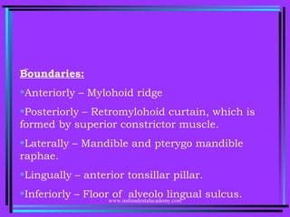 Mandibular edentulous foundation/ dental education in india | PPT