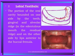 Mandibular edentulous foundation/ dental education in india | PPT