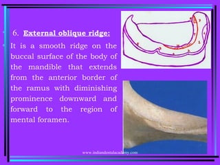 Mandibular edentulous foundation/ dental education in india | PPT