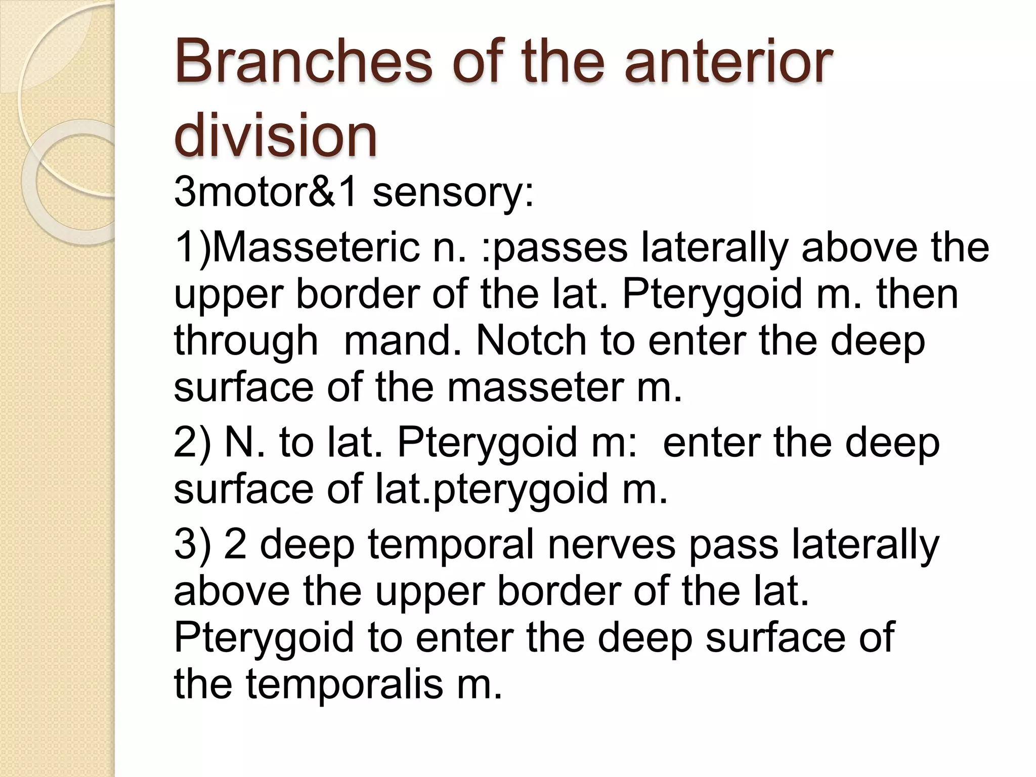 Mandibular nerve | PPTX