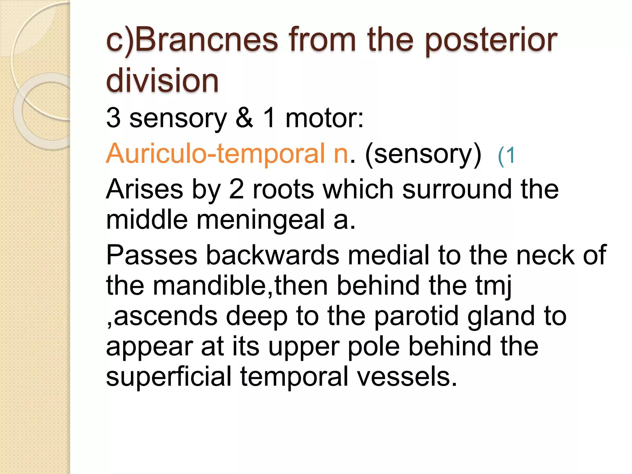 Mandibular nerve | PPTX