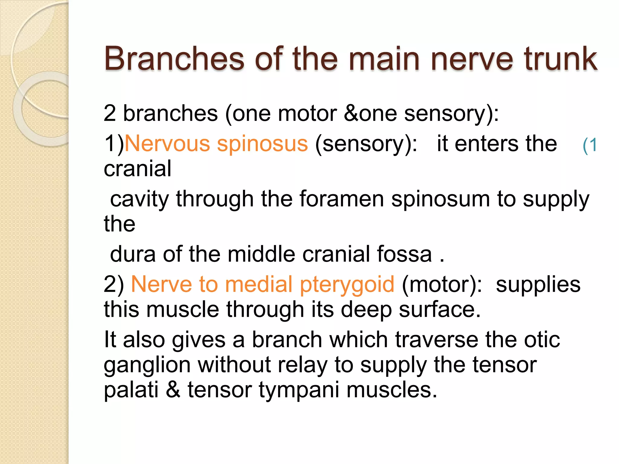 Mandibular nerve | PPTX