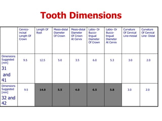 MANDIBULAR CENTRAL INCISOR AND LATERAL INCISORS.ppt