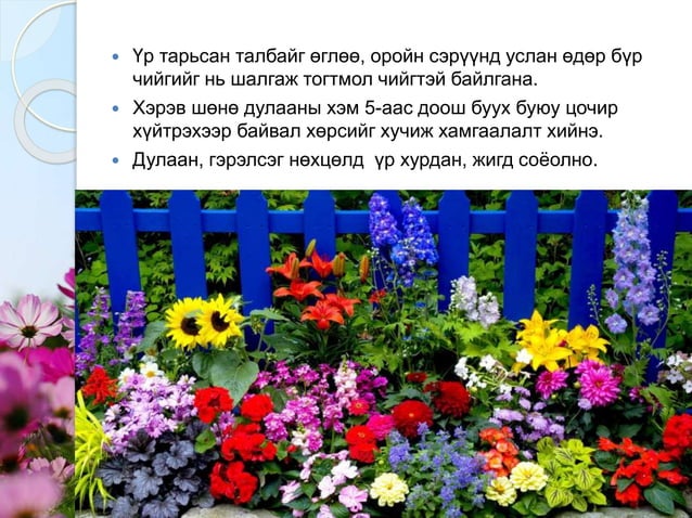 Мандлын цэцэг үрээр тарих арга