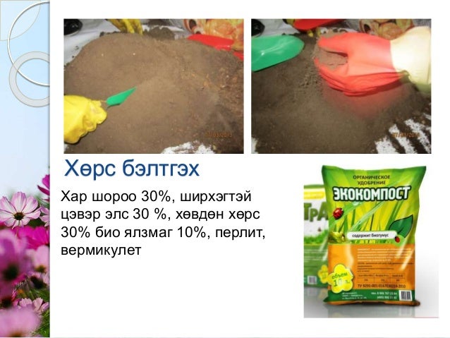 Мандлын цэцэг үрээр тарих арга