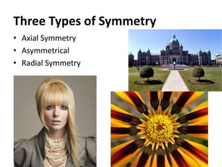 Mandala assignment | PPT