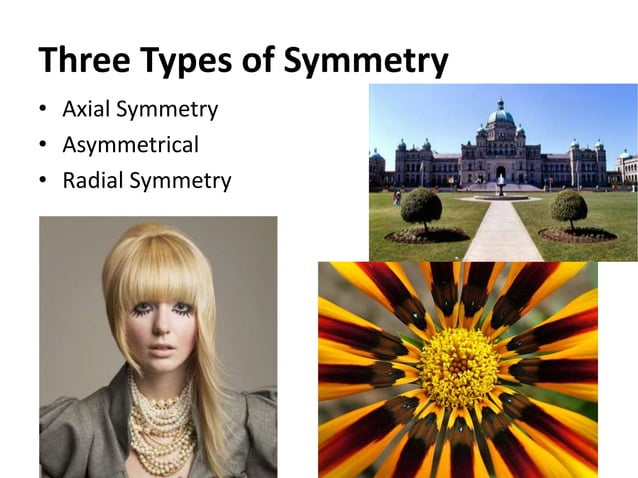 Mandala assignment | PPT