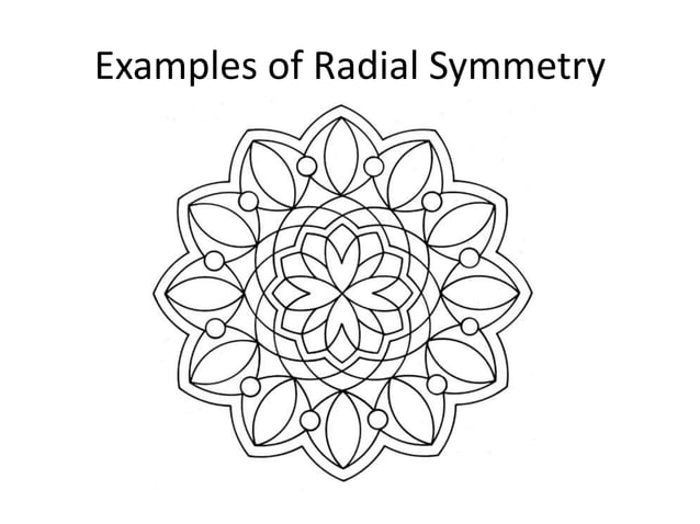 Mandala assignment | PPTX