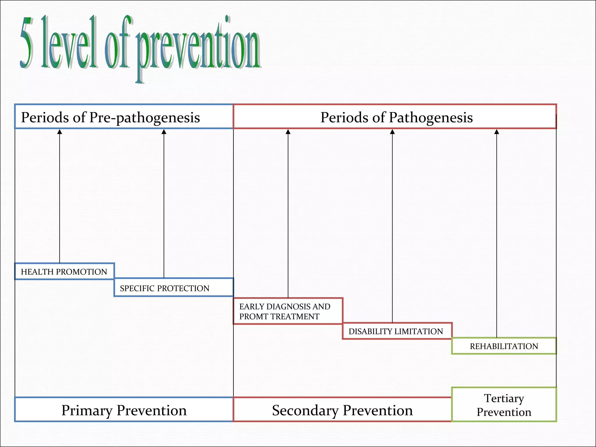 Mandala of health paul | PPT