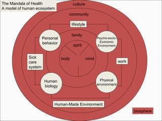 Mandala of health paul | PPT