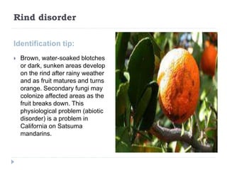 Mandarin Physiological Disorders A Lecture By Allah Dad Khan To FFS ...