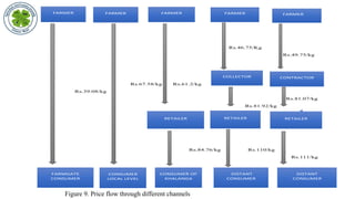 Mandarin orange value chain | PPTX