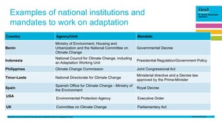 Mandate for the process to formulate and implement National Adaptation ...