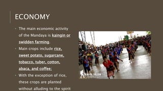 Mandaya Ethnic Tribe | PPT