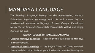 Mandaya Ethnic Tribe | PPT