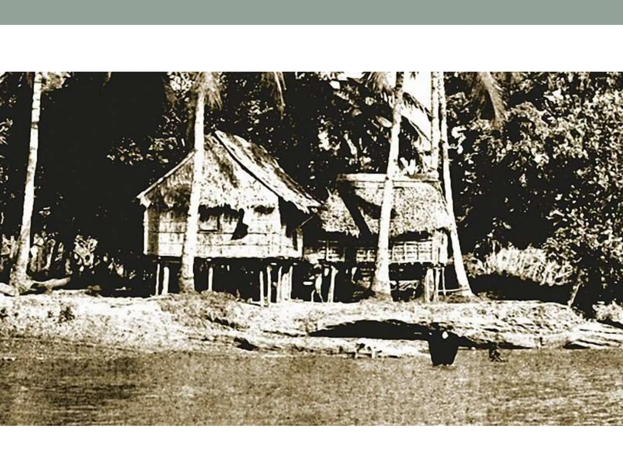 Indigenous Tribe-MANDAYA, MANSAKA, TIRURAY.pptx