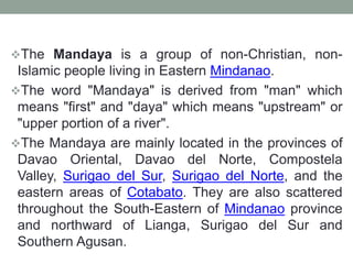 Indigenous Tribe-MANDAYA, MANSAKA, TIRURAY.pptx