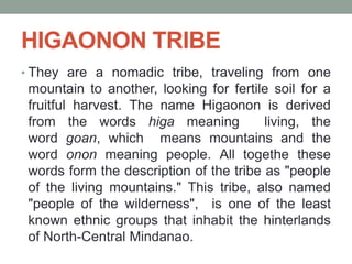 Indigenous Tribe-MANDAYA, MANSAKA, TIRURAY.pptx