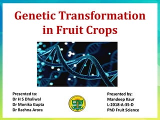 Genetic Transformation in Fruit Crops | PPTX