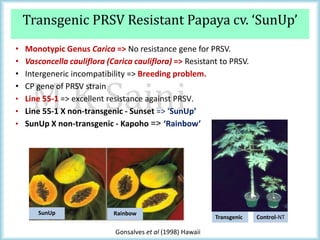 Genetic Transformation in Fruit Crops | PPTX