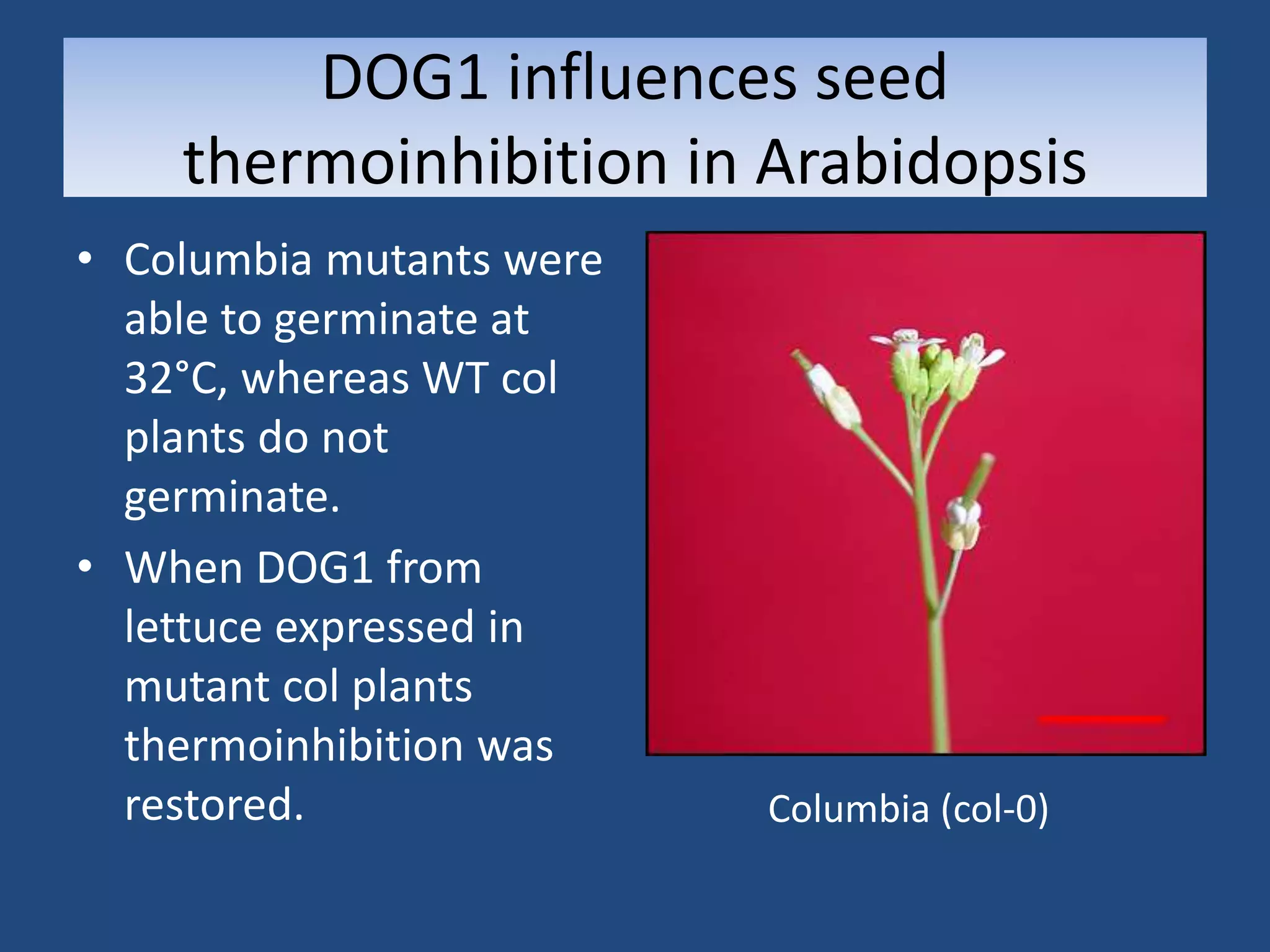 Flowering Regulation | PPTX