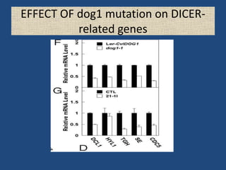 Flowering Regulation | PPTX