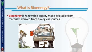 Breeding for Bioenergy | PPTX