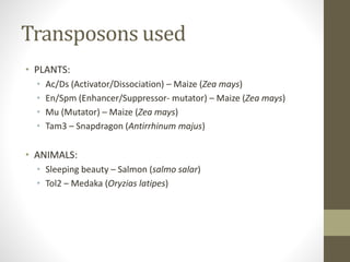 TRANSPOSON TAGGING | PPTX
